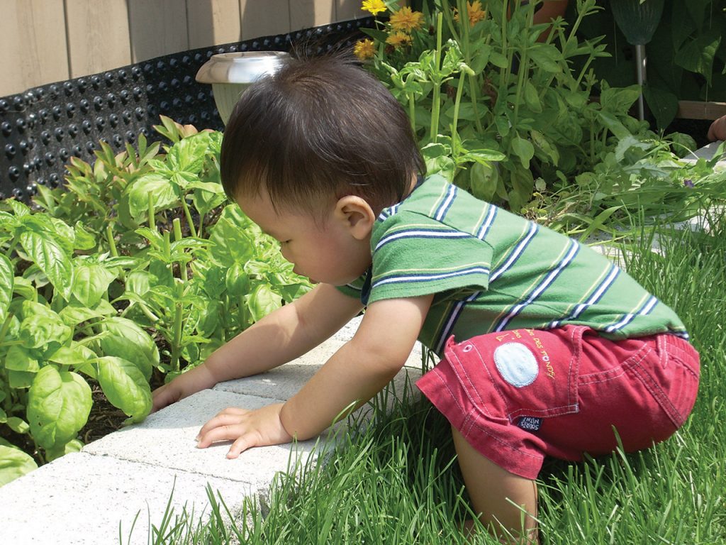 How to get your kids out of the house and into the garden – Curb Appeal ...